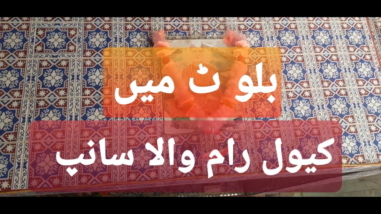 Bilot--sharif--men--keval--ram--vala--sanp - YouTube