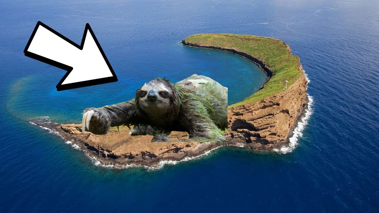 15 Unbelievable Animals Found Only on Islands! - YouTube
