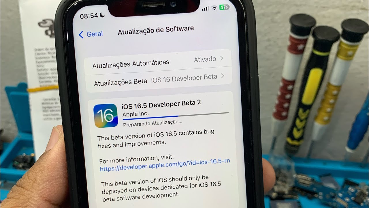 IOS 16.5 Beta 2 BUGS NA TELA DOS IPHONES AINDA CONTINUA - YouTube