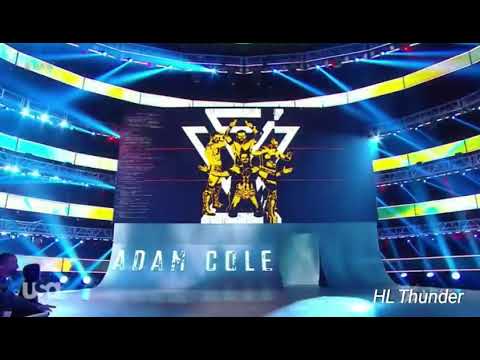 Seth Rollins vs Adam Cole - YouTube