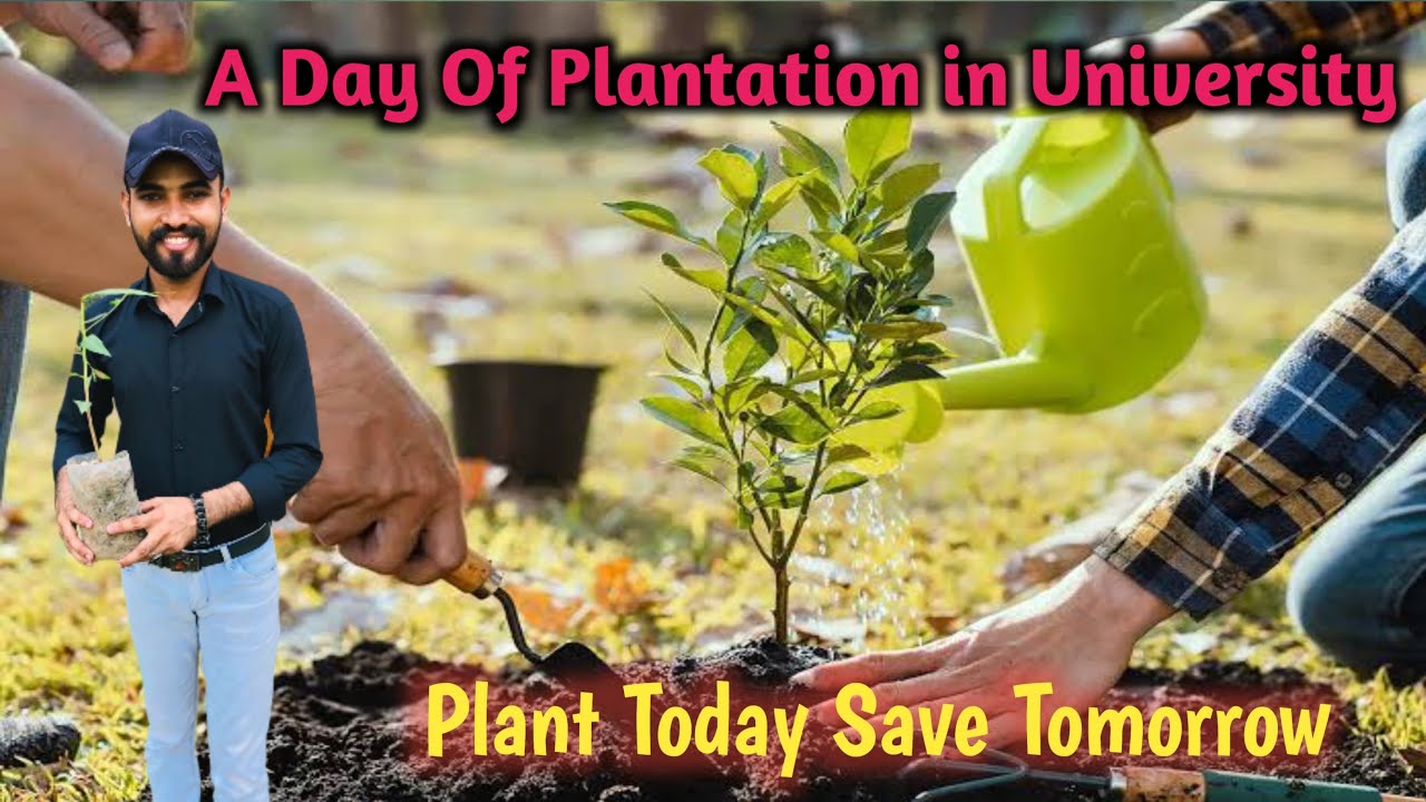 Planting For A Greener Tomorrow | A Day Of Plantation At University ...
