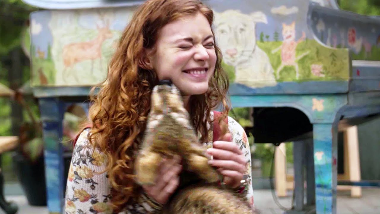 LE LOUP ET LE LION Bande Annonce (2021) - YouTube