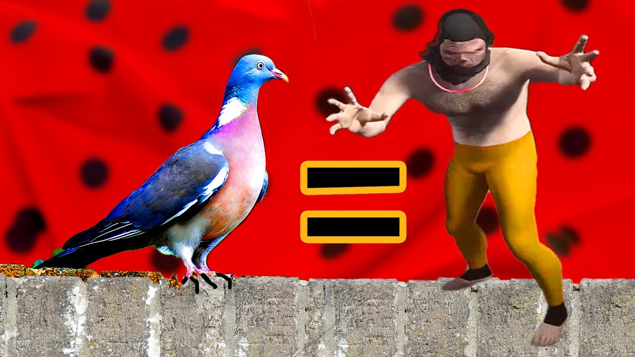 Sam Sneaker Returns - YouTube