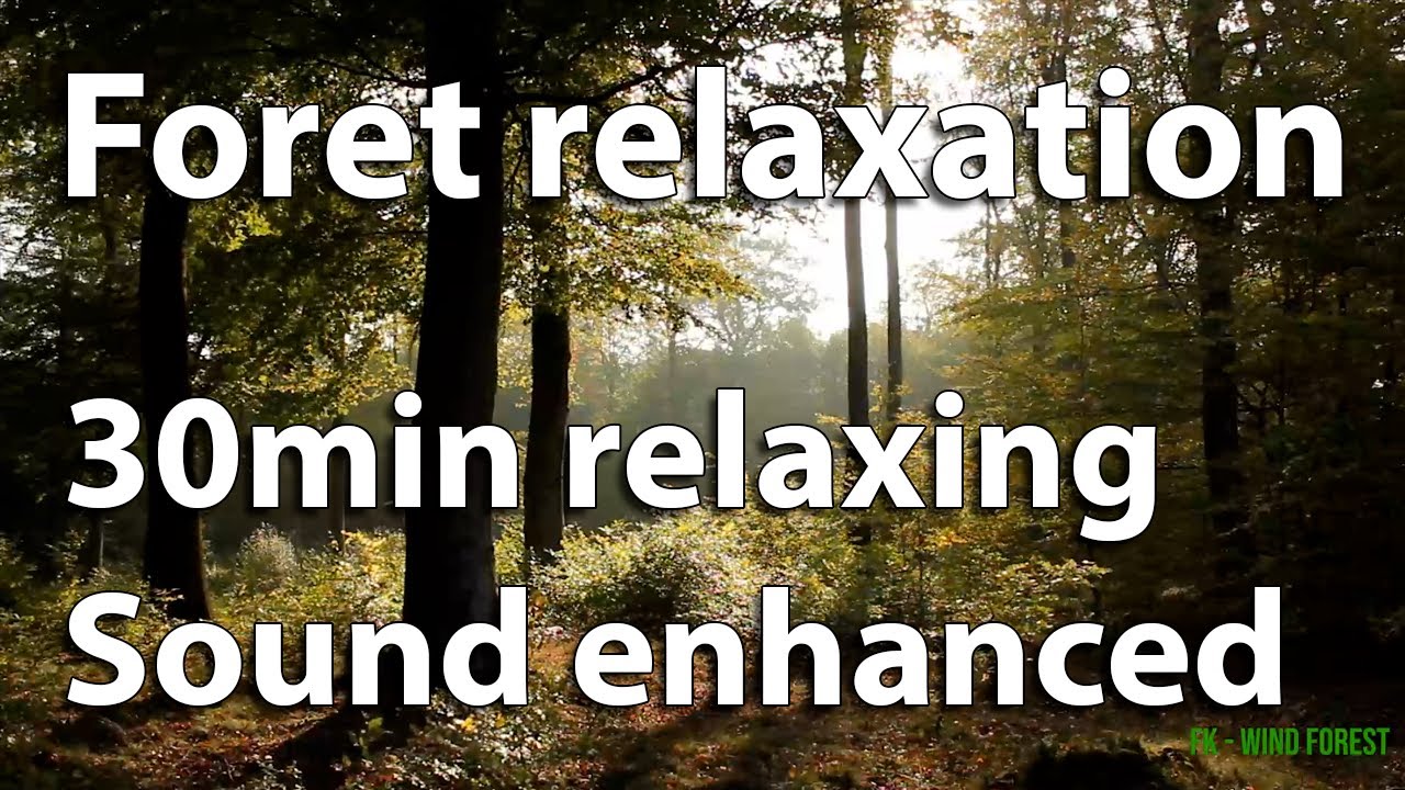 Foret Relaxation / Relaxing Forest - WindForest - YouTube