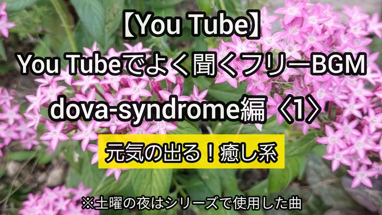 フリー【BGM】 元気のでる！癒し系 DOVA-SYNDROME編#フリーBGM #DOVA - YouTube