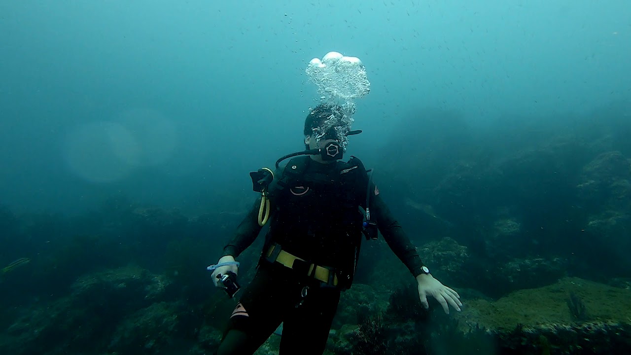 Islote Los Ahorcados Ayampe Ecuador, buceo - YouTube