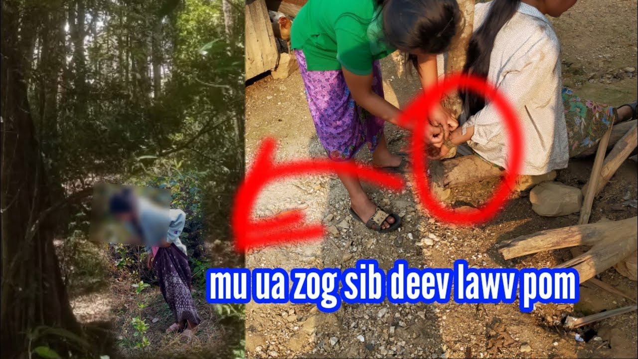 Poj niam mu ua lawv zog des ce tu tswv teb muab nyiaj ntiav tu niam ...