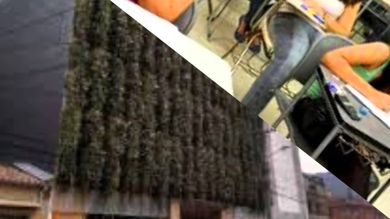 VIDEO CATEDRA ECCI - YouTube