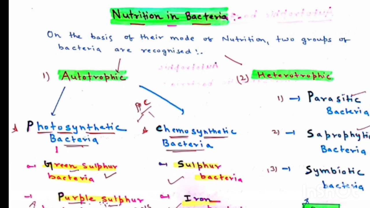 NUTRITION IN BACTERIA HANDWRITTEN PDF NOTES / BACTERIOLOGY MICROBIOLOGY ...