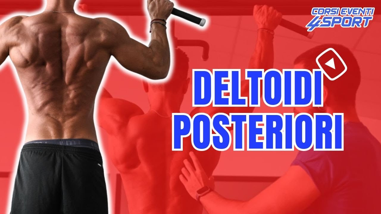 Cosa sono i deltoidi posteriori e quando si allenano? - YouTube