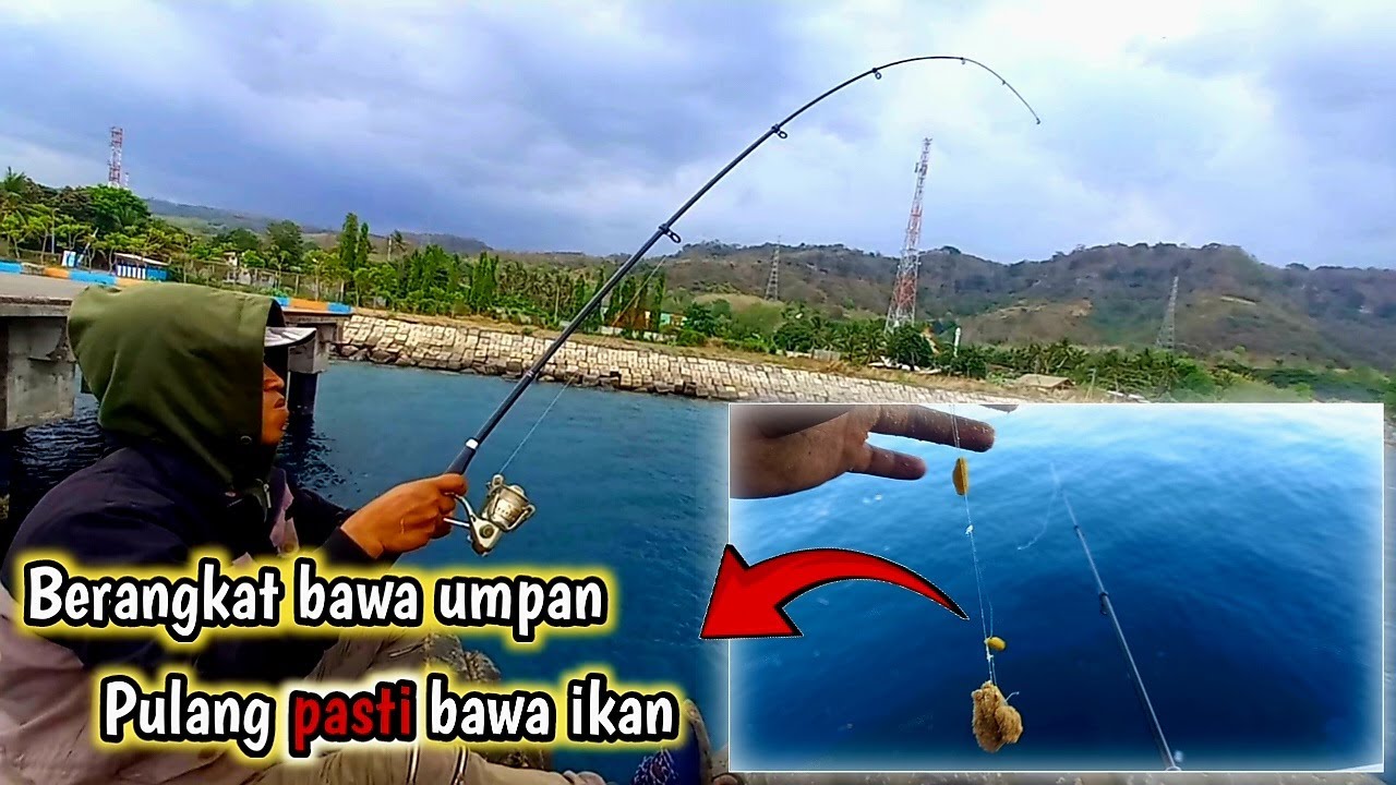 Cara buat umpan pelet dari mie | untuk mancing ikan sadar - YouTube