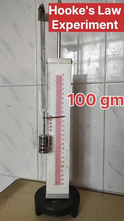 Awesome Hooke's Law Experiment You Need To See! - YouTube