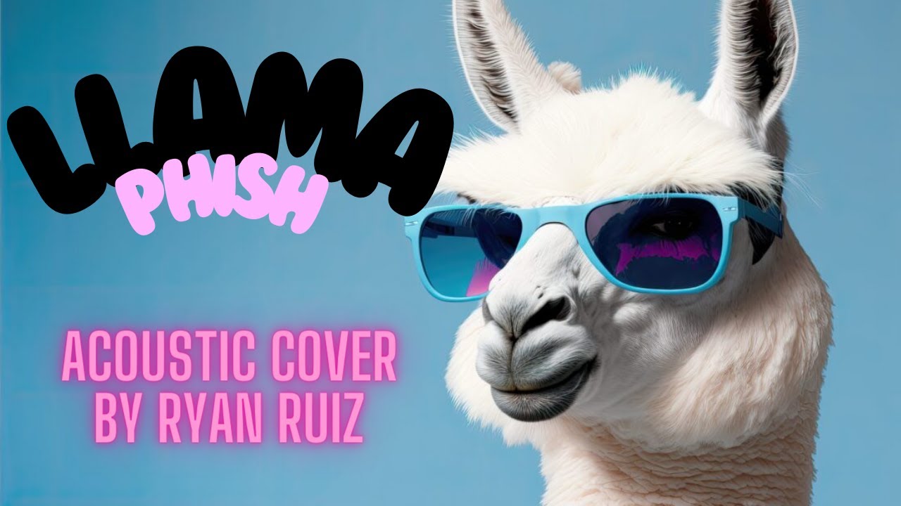 (Slow) Llama - Phish Cover | Live Acoustic Jam - YouTube