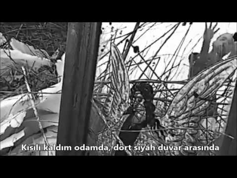 $UICIDEBOY$ - Antarctica (Türkçe Çeviri)