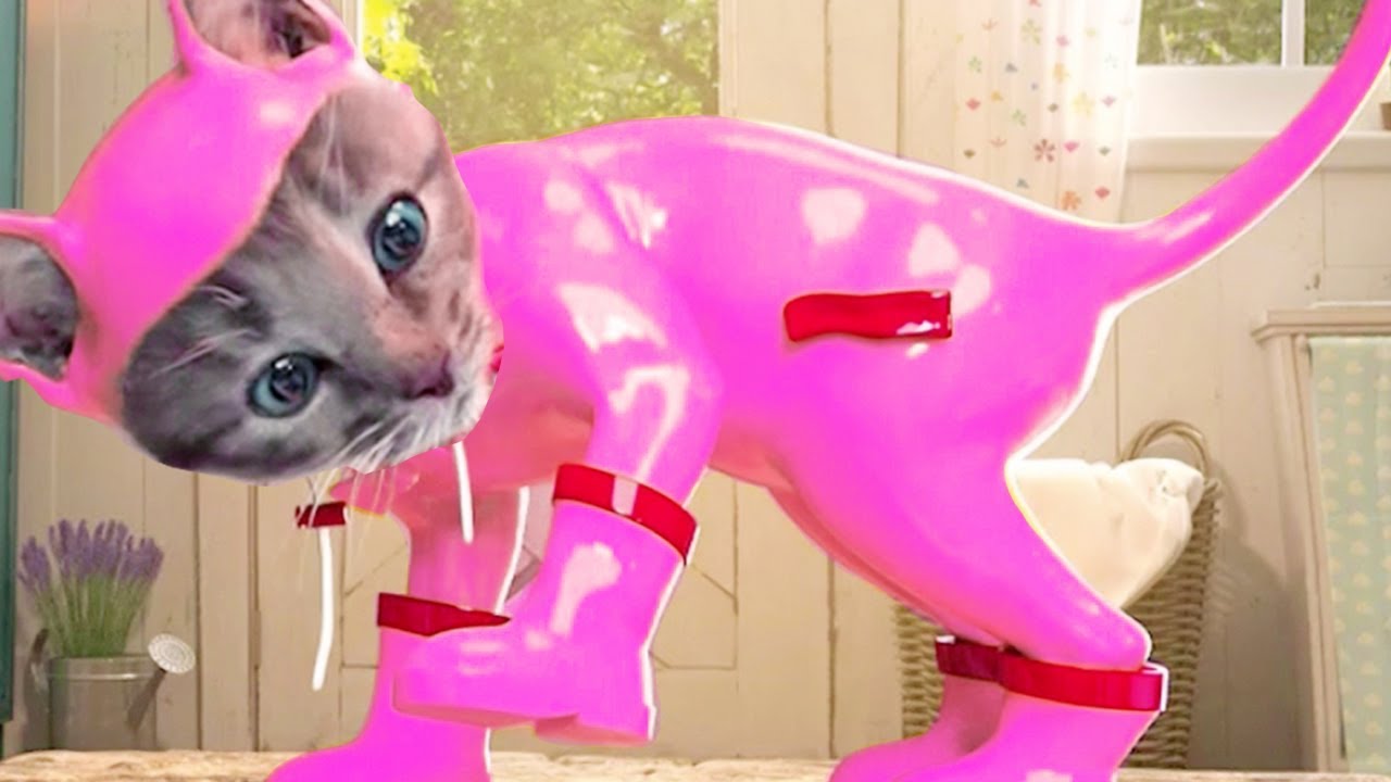 Fun Pet Animals Care - Little Kitten Adventure - Baby Learn Colors ...