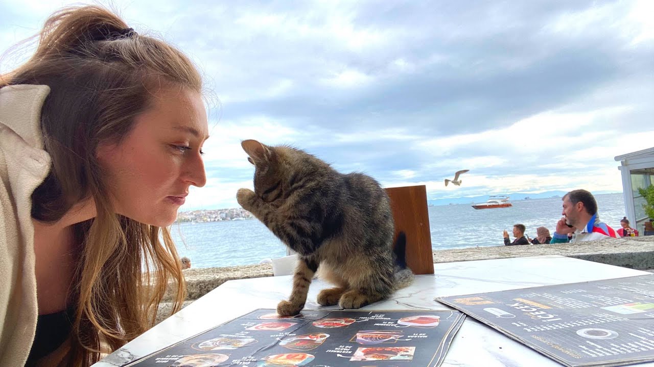 🇹🇷 TRAVEL VLOG Part 2: ISTANBUL TURKEY - Sightseeing and eating GREAT ...