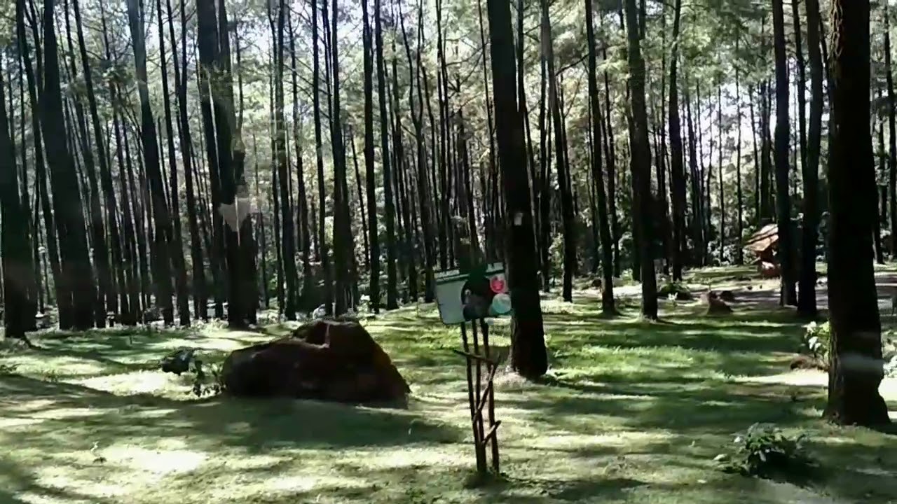 Prigen malang - YouTube