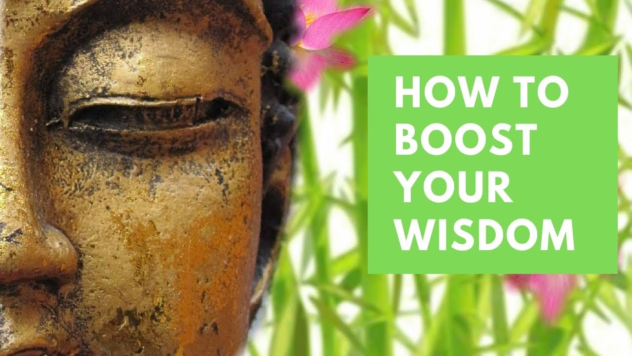 How To Boost Your Wisdom - YouTube
