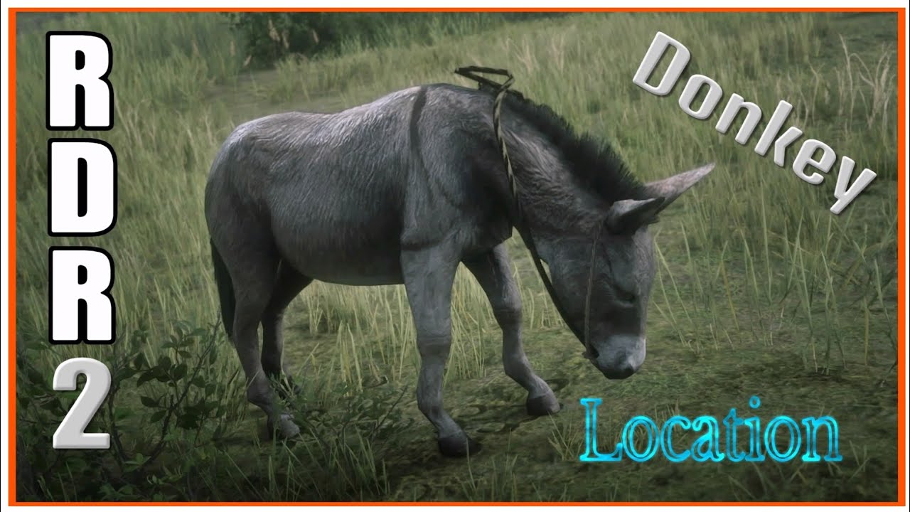 Donkey location in Red Dead Redemption 2 Online - YouTube