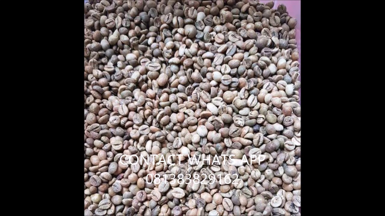 BARUUU!!!! KOPI CAP WALET !!! - YouTube