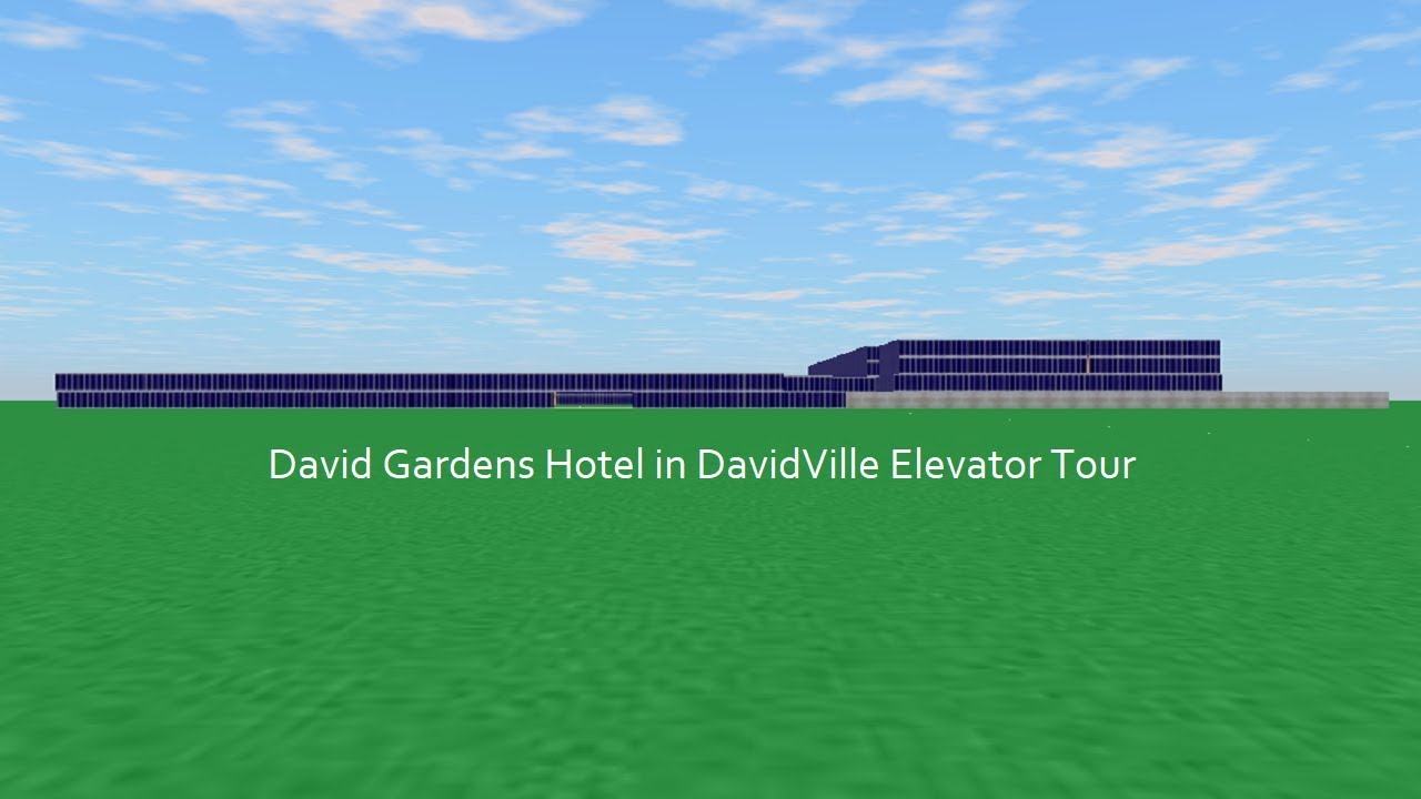 Tour of the Elevators @ David Gardens Hotel in DavidVille - YouTube