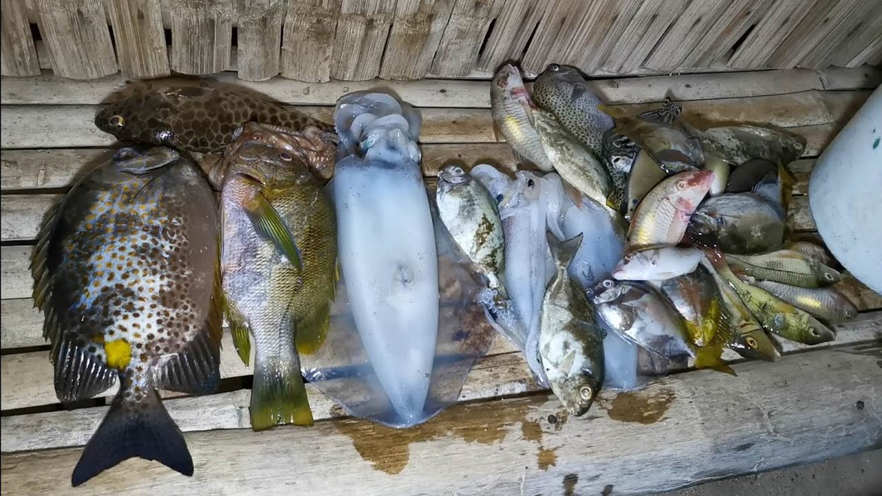 Night Spearfishing Episode 14 | Rabbitfish & Squid - YouTube