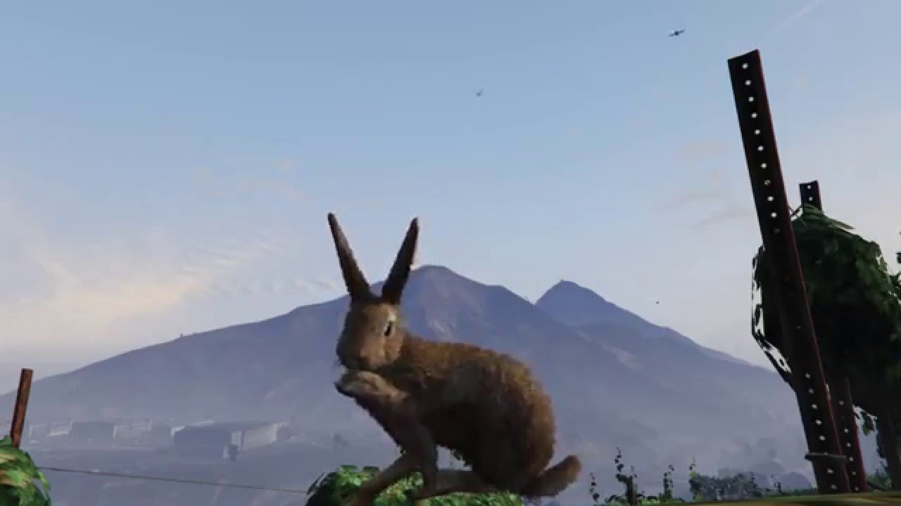 GTA V - Bunny World - Achievement Test [HD] - YouTube
