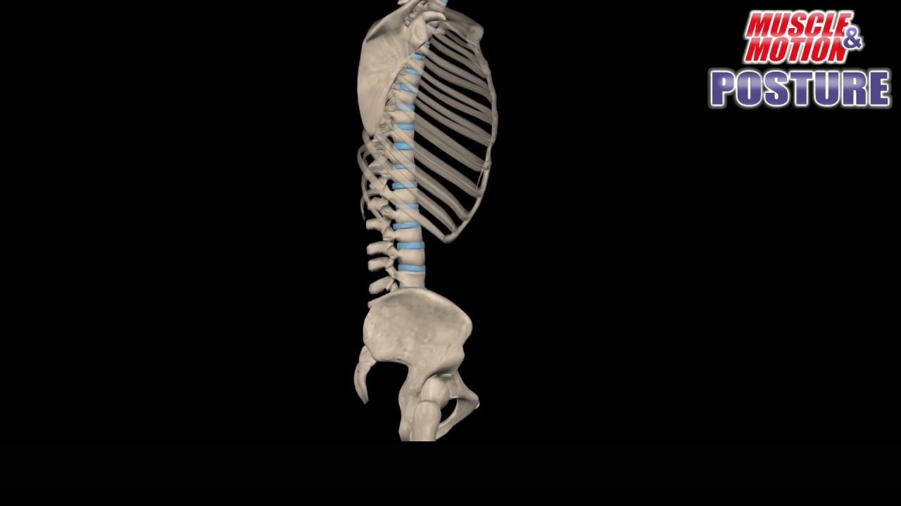 What is Flat Back? - YouTube