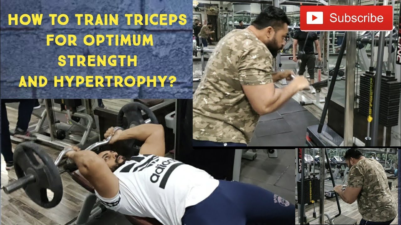 How to train for maximum muscle hypertrophy? Video 3 TRICEPS - YouTube