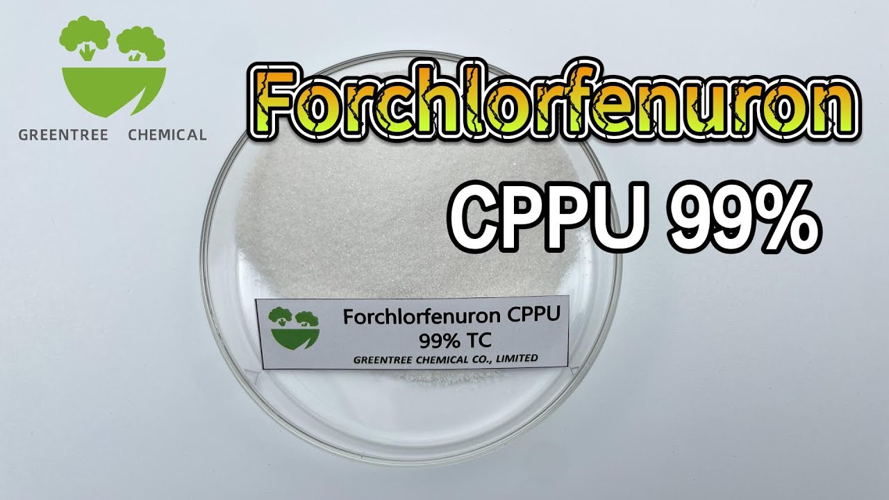 Forchlorfenuron CPPU 99% TC CAS NO. 68157-60-8 Fruit-Enlarging Plant Growth Regulators - YouTube