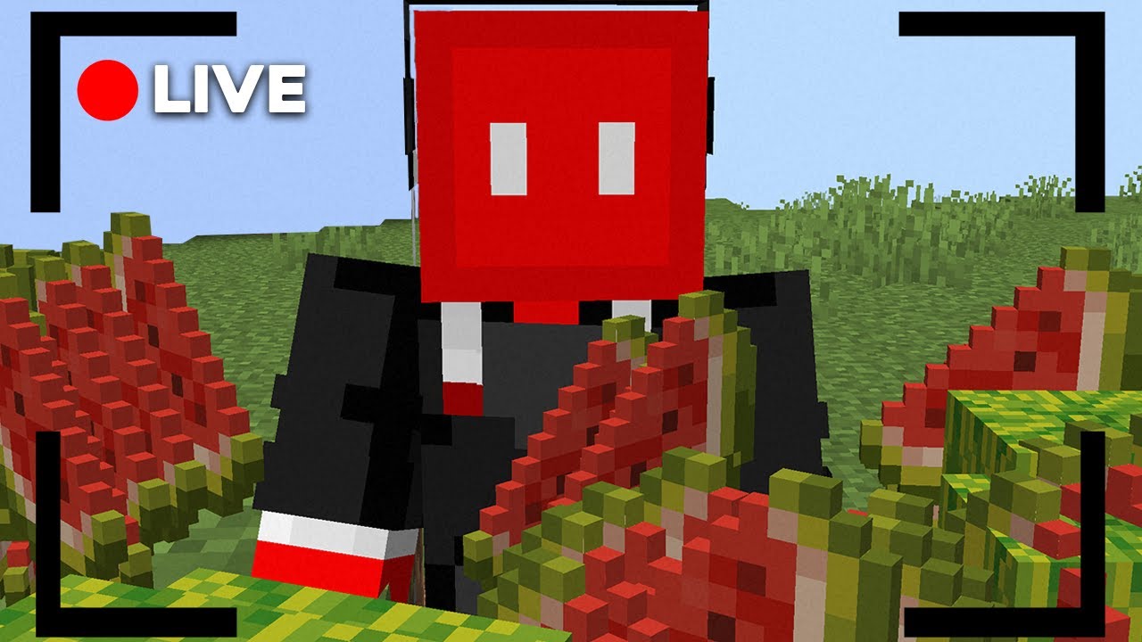 Farming Melons to Beat Rekrap's Record... - YouTube