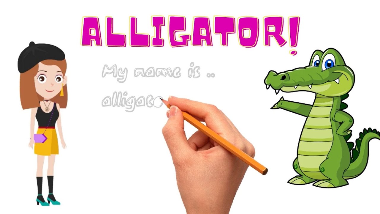 All about alligators! Animals facts for kids - YouTube