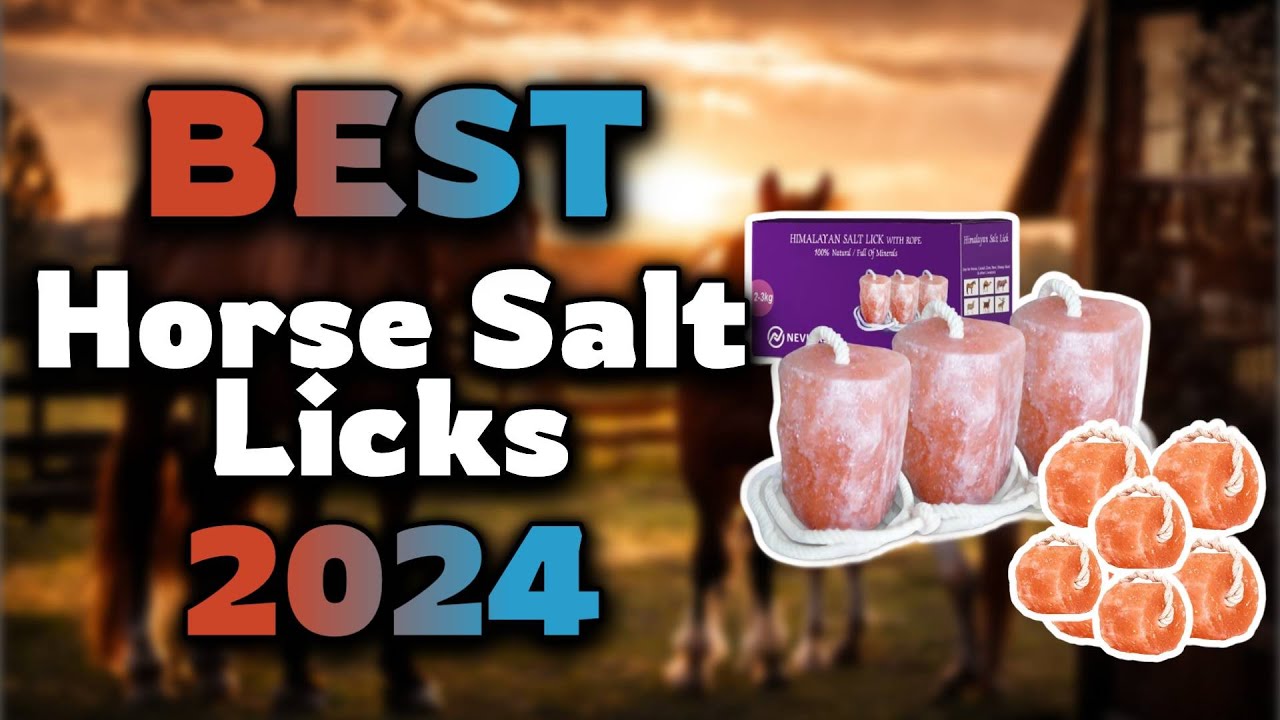 Top Best Horse Salt Licks in 2024 & Buying Guide - Must Watch Before ...