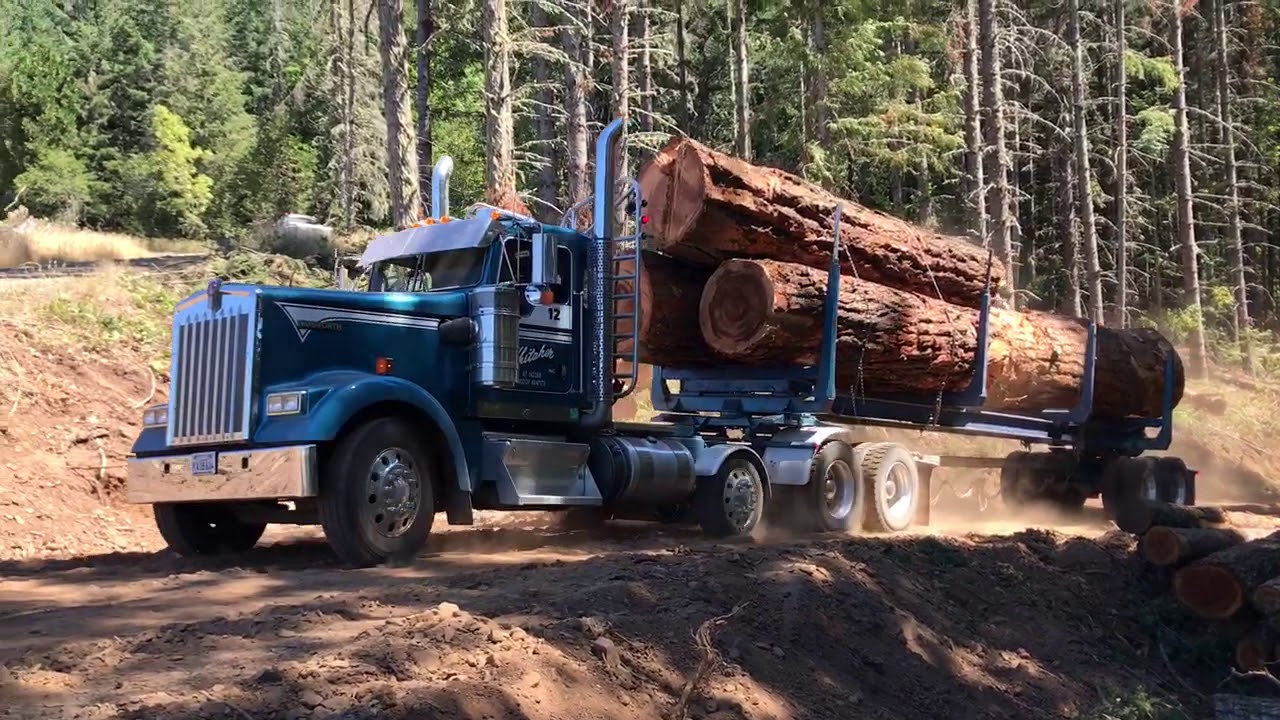 Logging - Episode 1 - YouTube