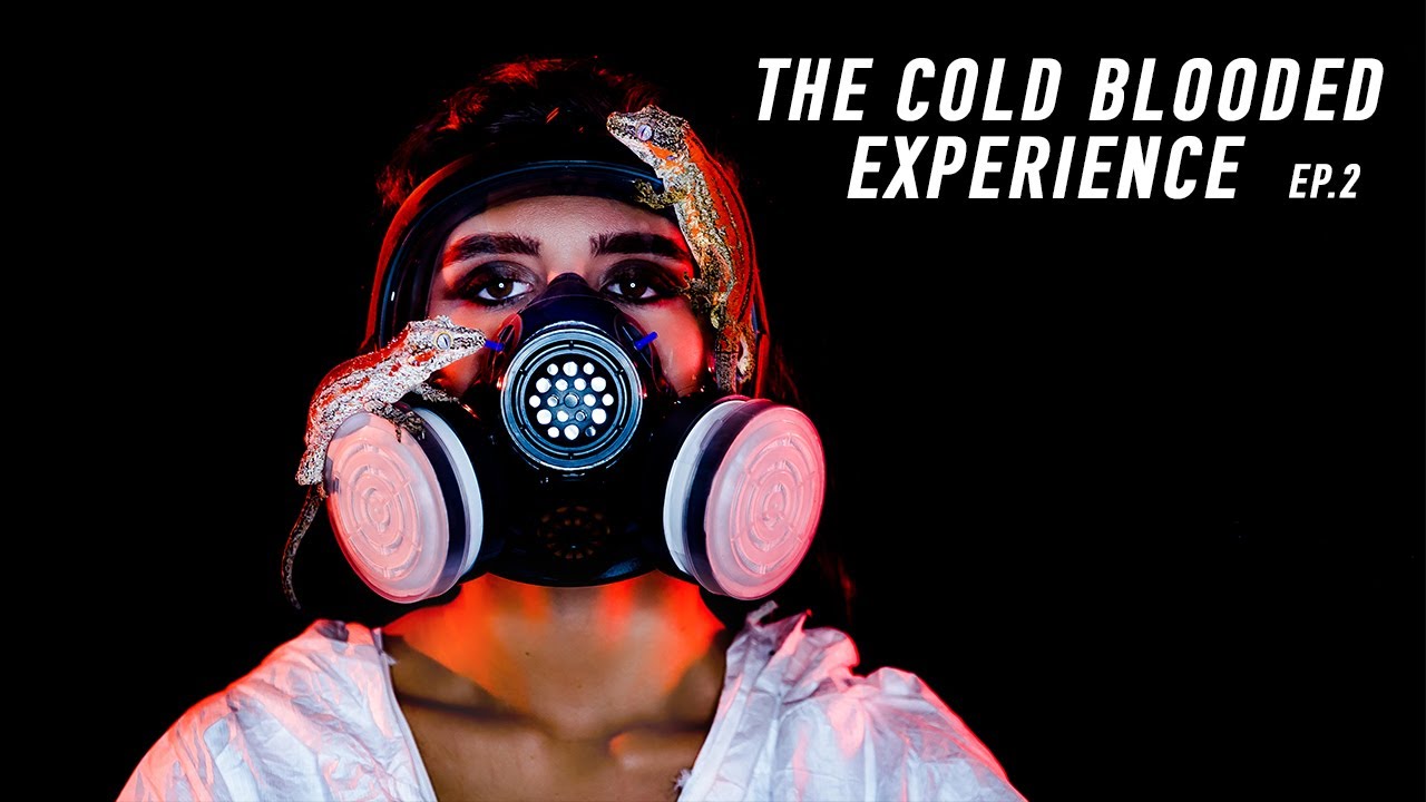 The Cold Blooded Experience : Ep 2 (podcast) - YouTube