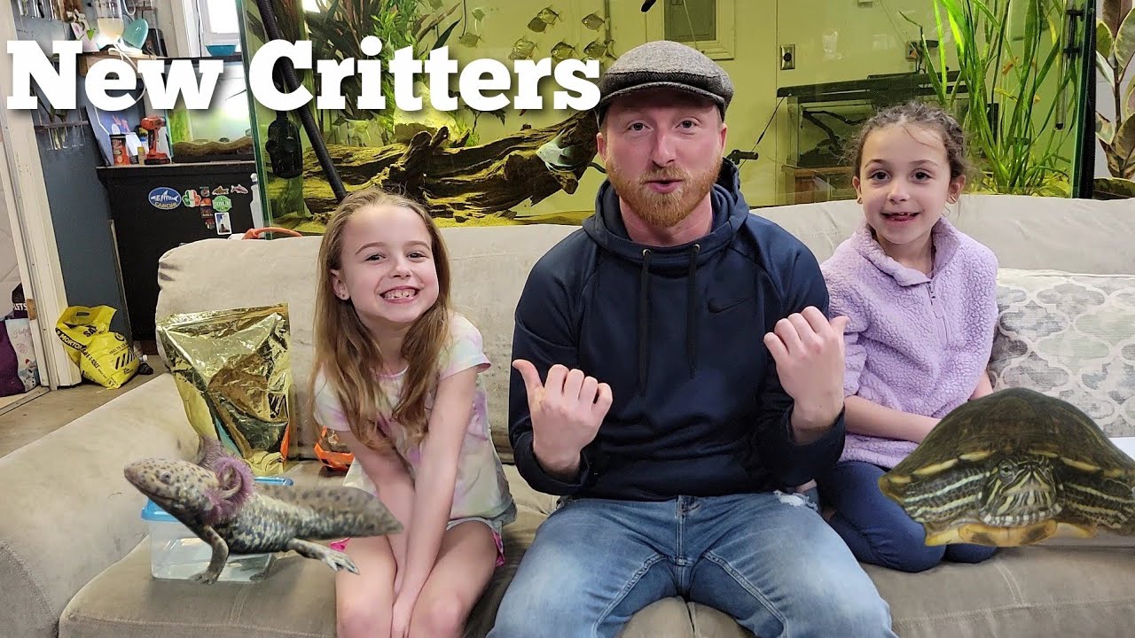 New Fish/Critters from the Local Fish Swap - YouTube