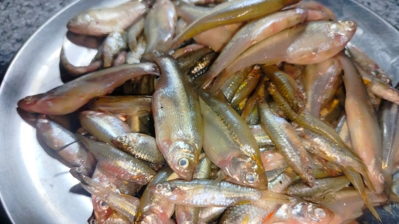 Small Fish Village Style | Choti Fish Cleaning & Cooking सरसों वाली ...