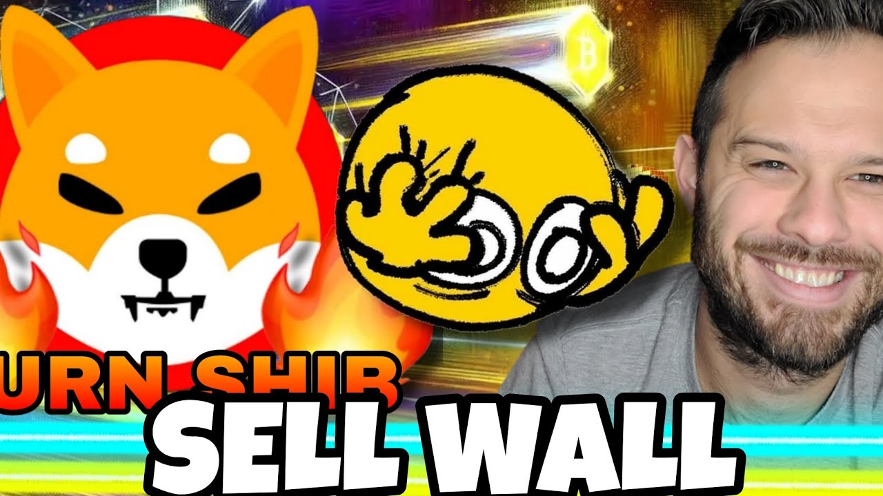 Shiba Inu Coin | This Sell Wall Is The Only Thing Stopping SHIB From ...