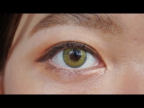 Review contact lens : Pro khaki