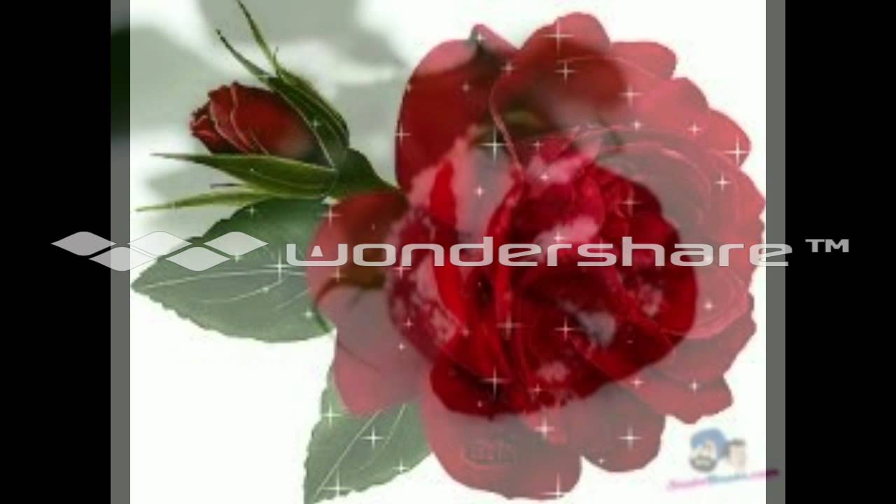 Η ΤΡΙΑΝΤΑΦΥΛΛΙΑ/ TRIANTAFYLLIA - YouTube