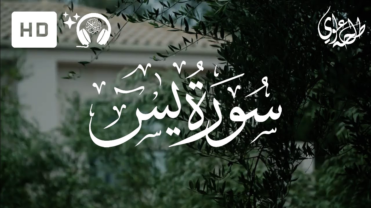 Surah Yasin - Talha Alvi | سورة يس - طلحه علوي - YouTube