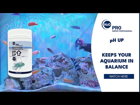 pH Up | H2O PRO Water Professional - YouTube