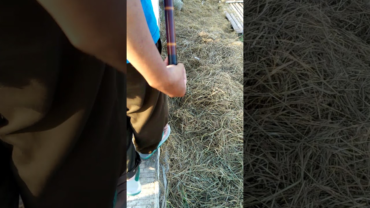 colmek di tempat umum - YouTube