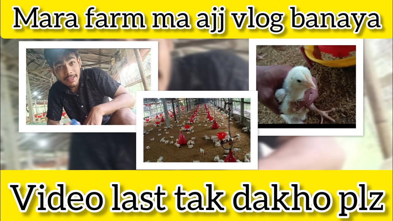 Day 3 vlog video / mara farm ma ajj vlog banaya 🫢 #vlog #vlogvideo ...