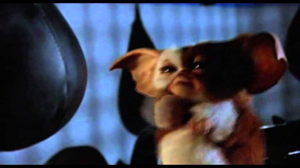 gizmo se venge gremlins - YouTube