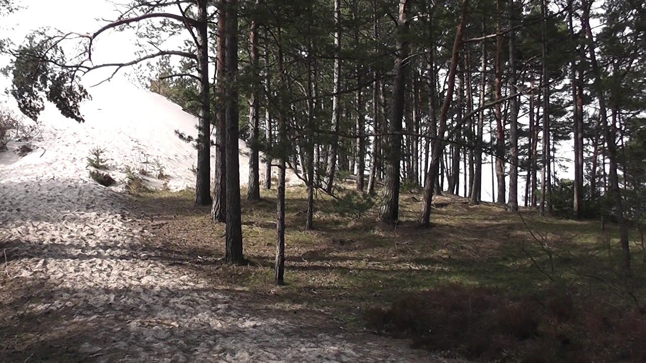 Ustka - las 16-04-2011 - YouTube