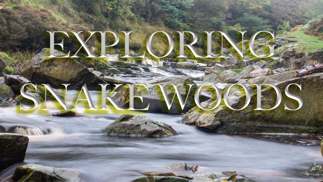 Stunning Woodland You Have To See Cinematic Views Of Snake Woodland In ...