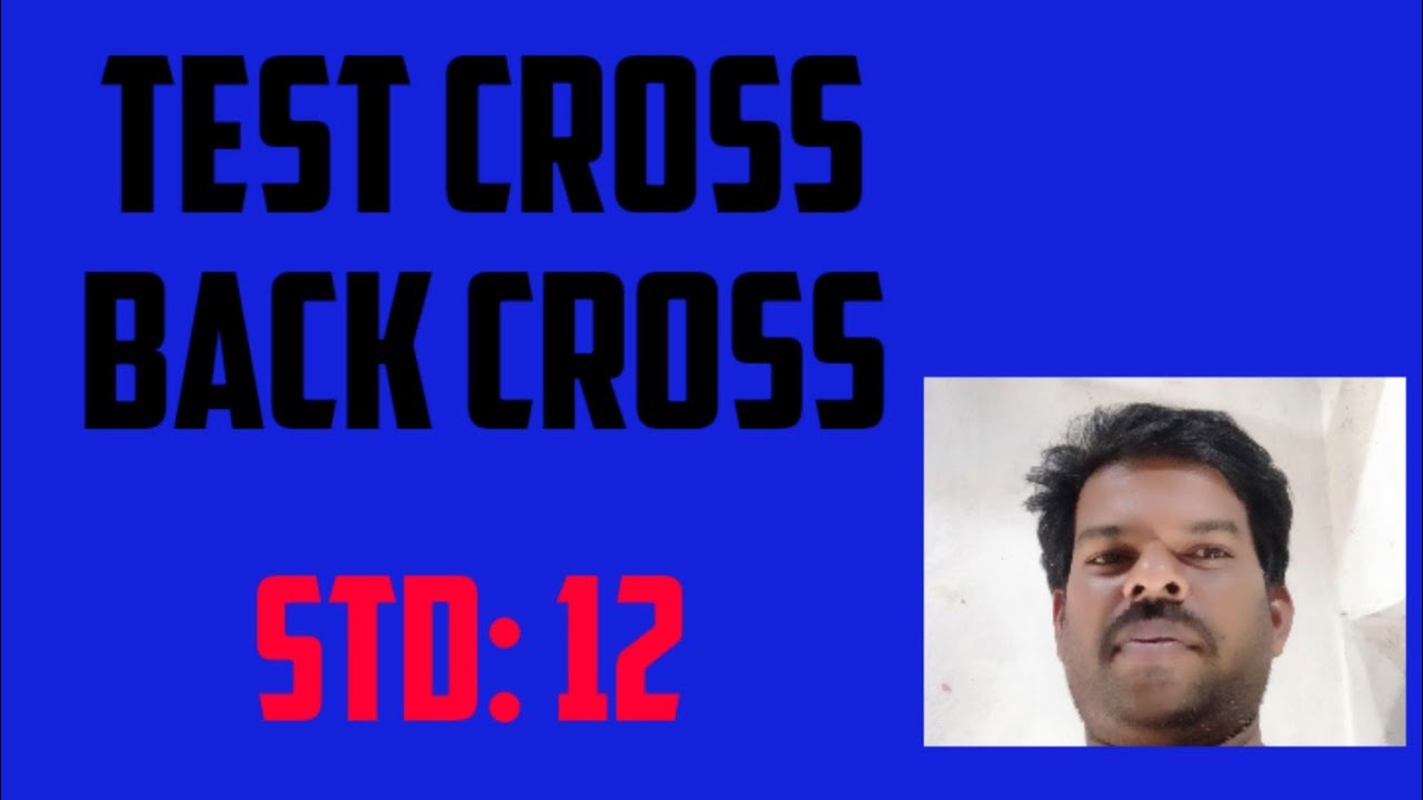 Genetics, test cross, back cross - YouTube