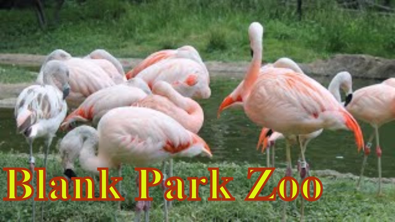 Visiting Animals in Blank Park Zoo in Des Moines, Lowa, United States ...