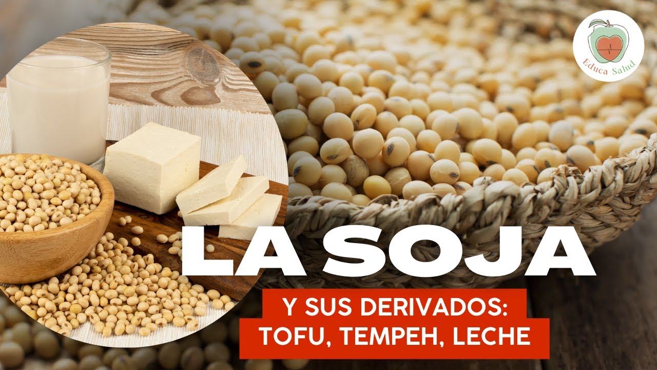 LA SOJA o SOYA y sus DERIVADOS: TOFU, TEMPEH, LECHE DE SOJA y TAMARI ...